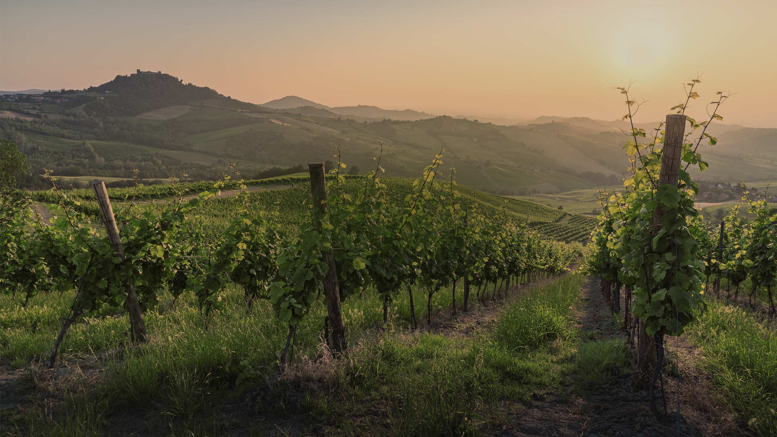 winetastingmalta.com